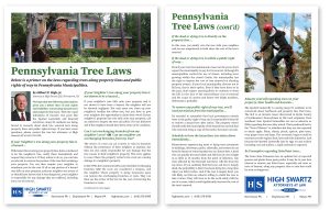 Pennsylvania Tree Laws | A Breakdown by Municipal Lawyers